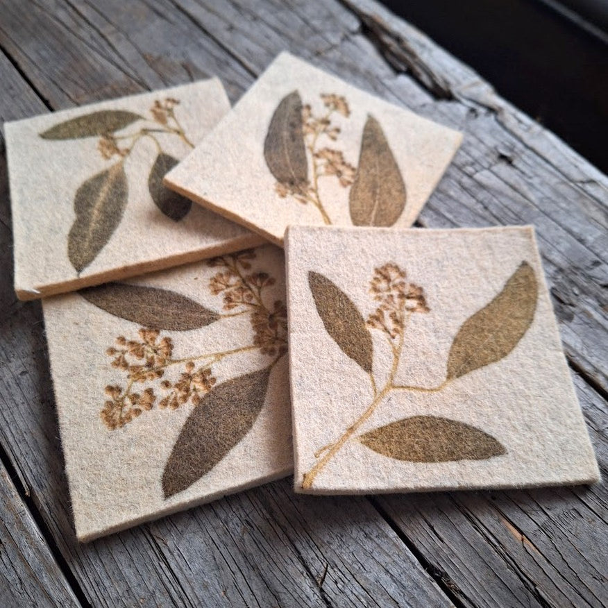 Judith Bowden– Flax and Fire