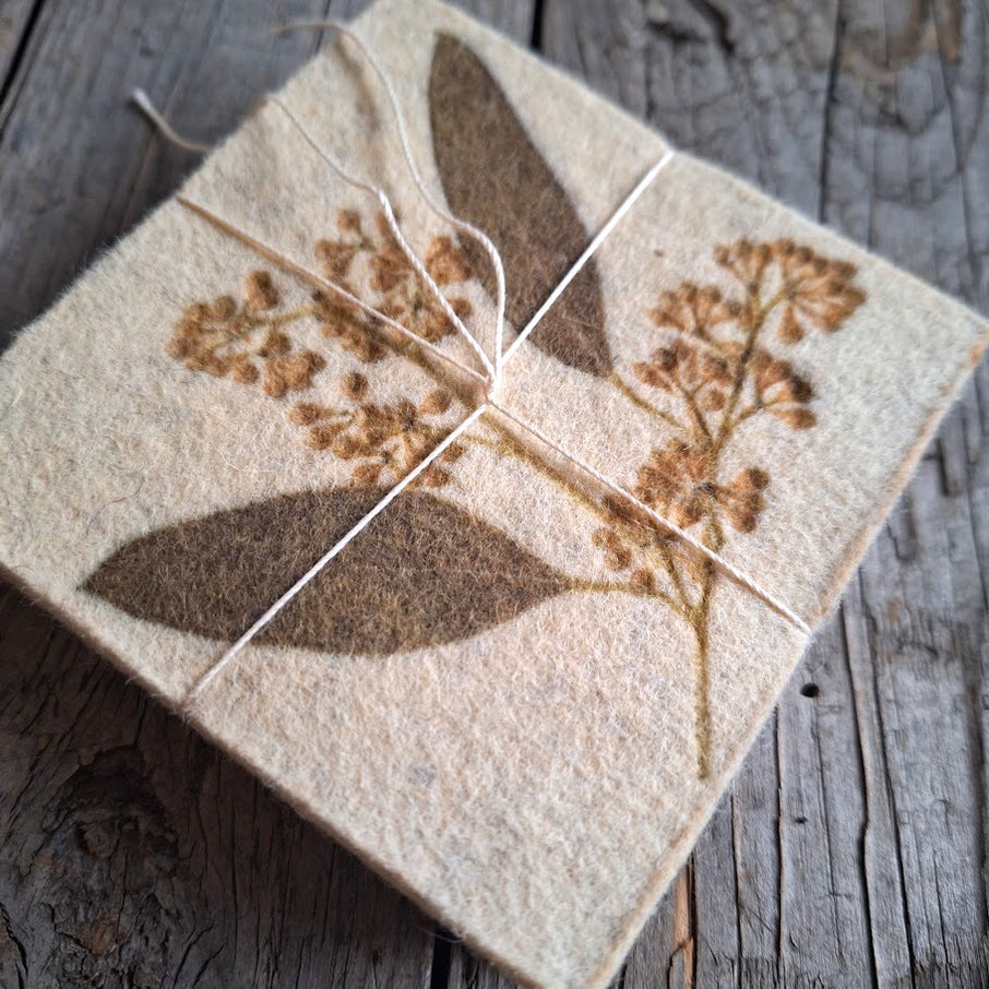 Judith Bowden– Flax and Fire