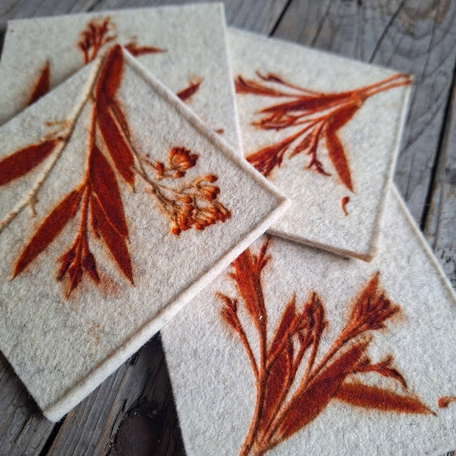 Judith Bowden– Flax and Fire