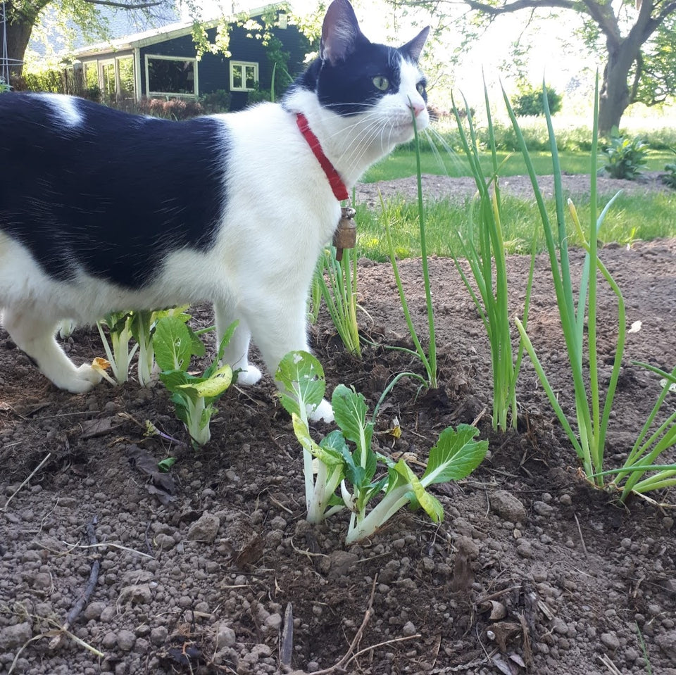 About Us– Flax and Fire